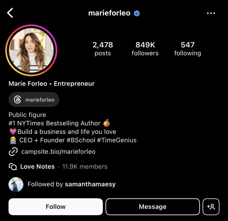 Best 25 Instagram Bio Ideas to Help Improve Yours (w/ Examples)