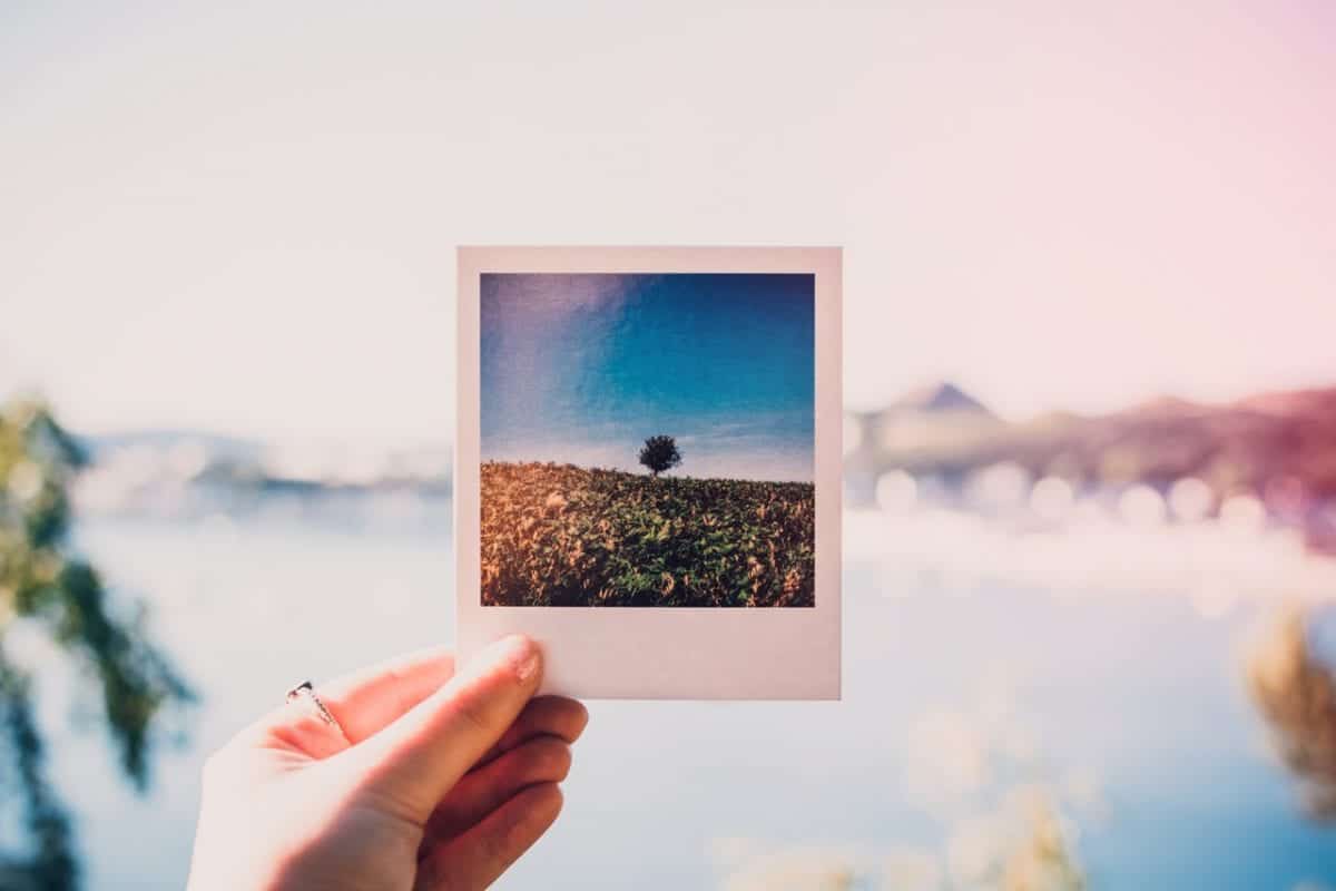 7 Tips And Tools To Create The Perfect Social Media Posts