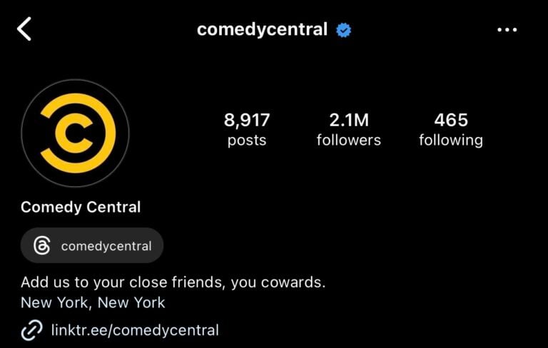 Best 25 Instagram Bio Ideas to Help Improve Yours (w/ Examples)