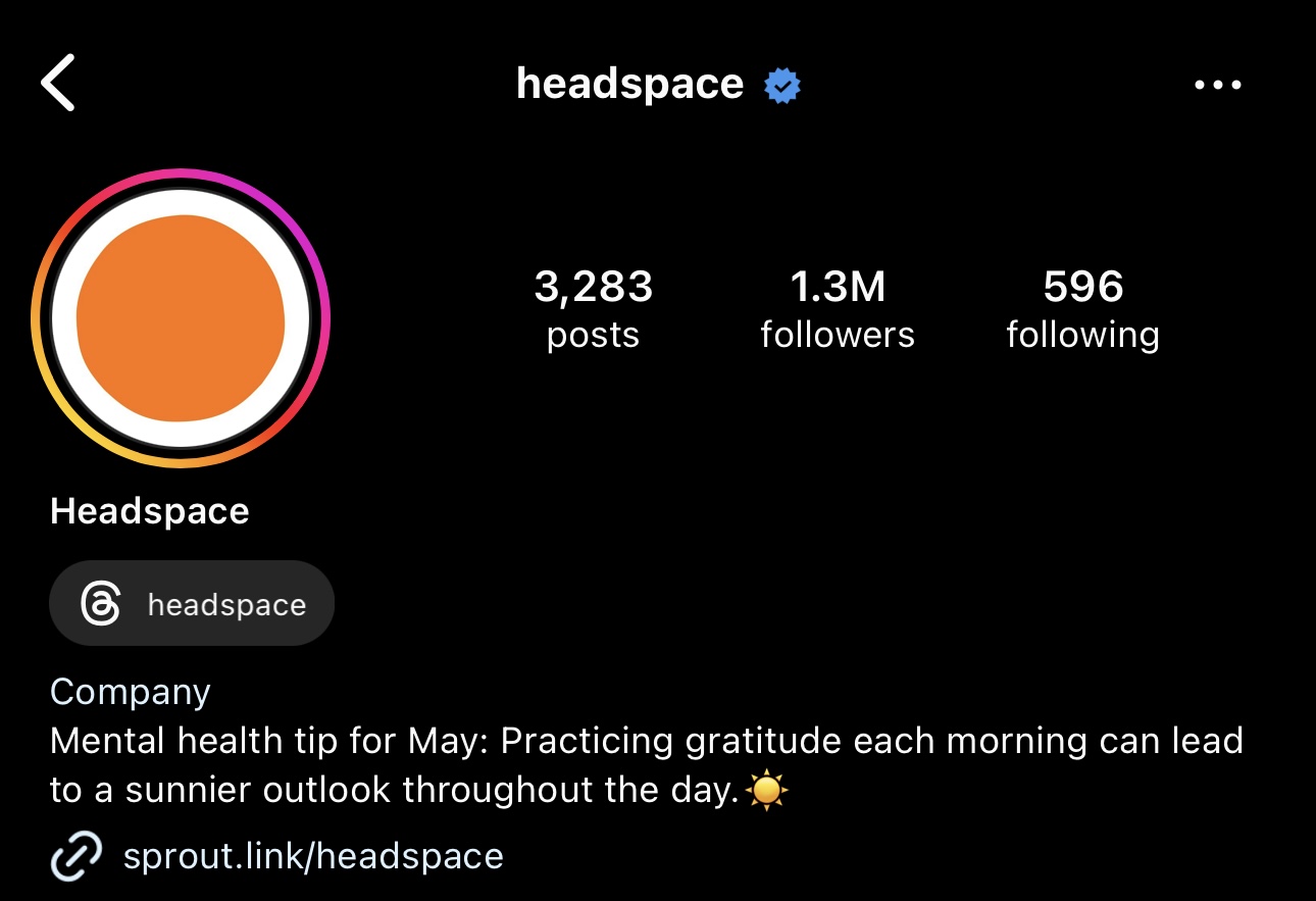 Best 25 Instagram Bio Ideas to Help Improve Yours (w/ Examples)