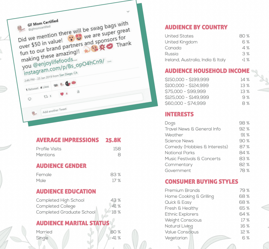 11 Things to Include in Your Influencer Media Kit (with examples)