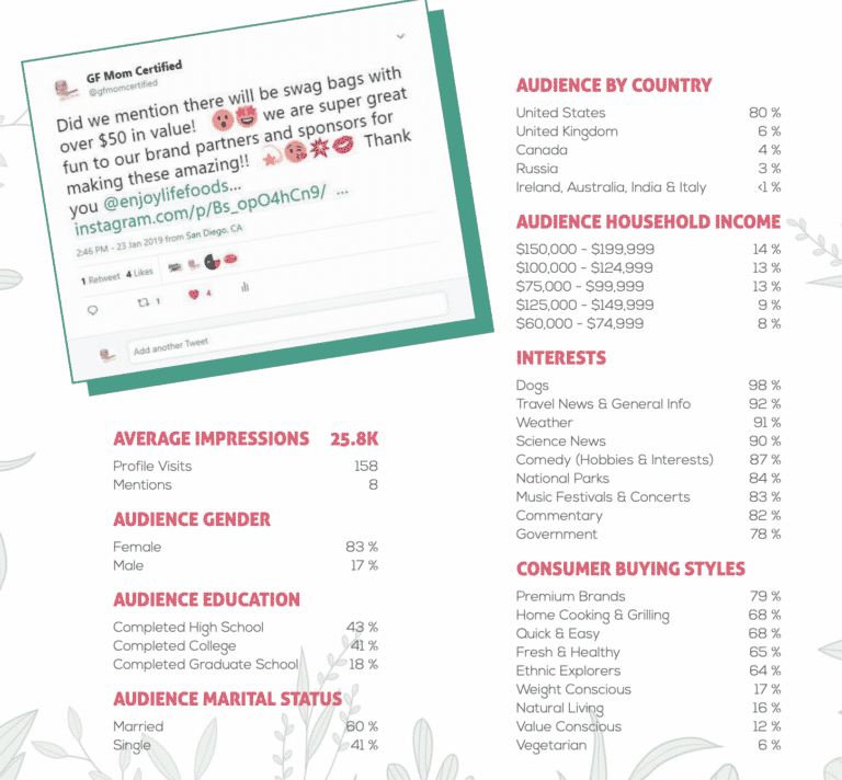 11 Things to Include in Your Influencer Media Kit (with examples)