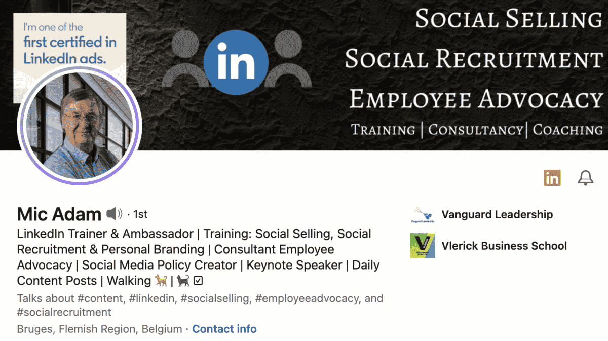 Linkedin Headline Examples Laderqa