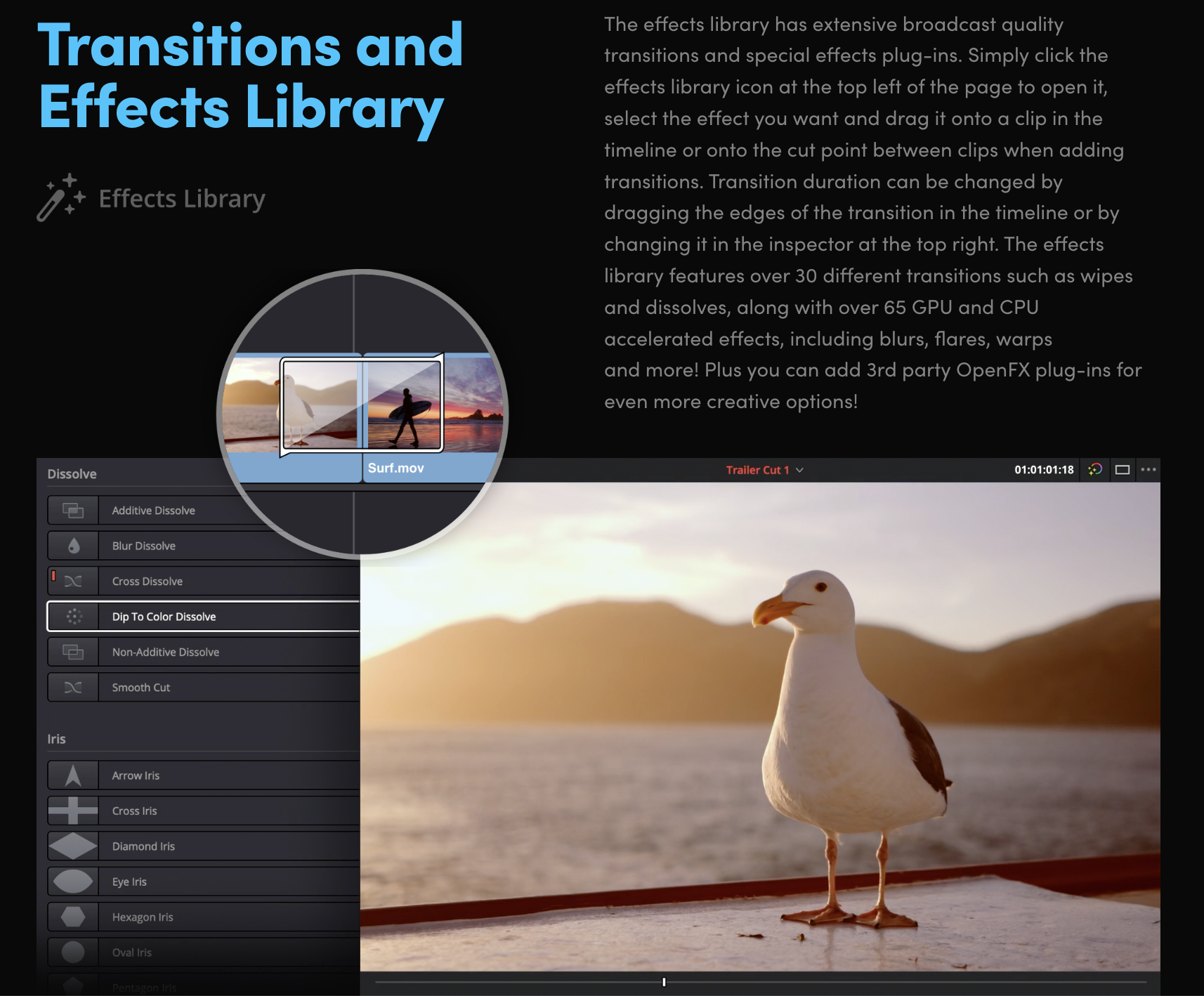 Which is the Best Video Editing App? Choose from These 17