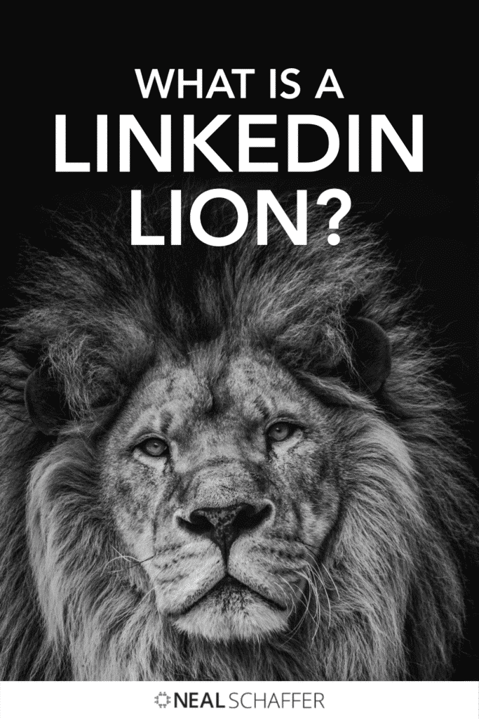 LinkedIn LION: All You Wanted to Know about LinkedIn Open Networkers